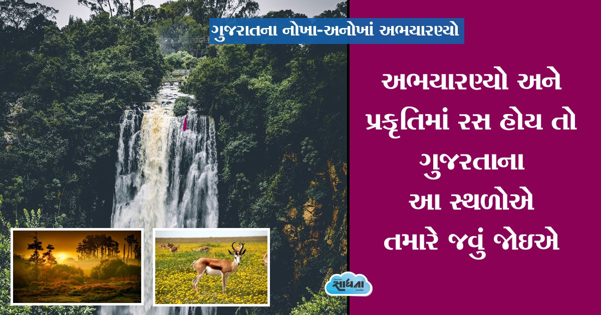 Best Wildlife Sanctuaries In Gujarat For The Nature Lovers - Sadhana ...