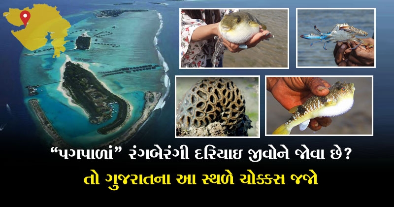 pirotan island gujarat Gujarati - Sadhana Weekly - Gujarati Magazine